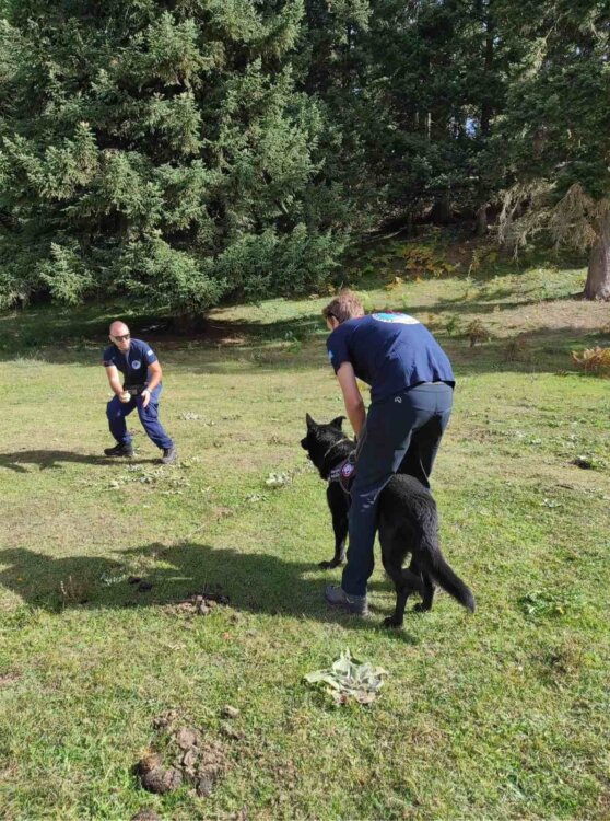 Με απόλυτη επιτυχία η άσκηση εκπαίδευσης σκύλων έρευνας στο Περτούλι ...